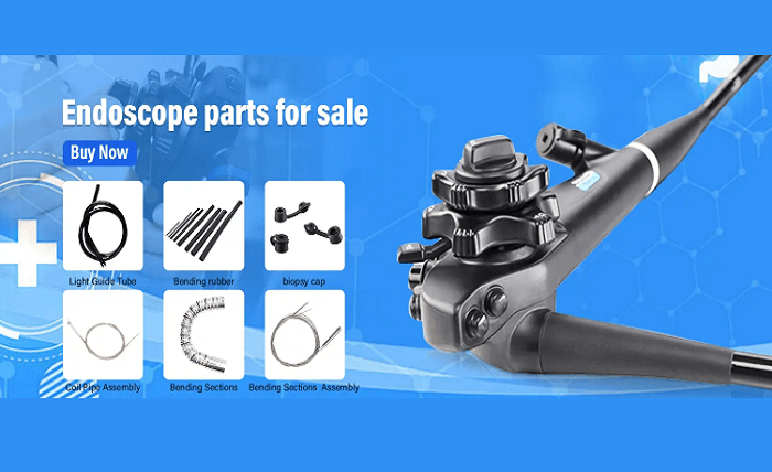 Endoscope Insertion Tube: Materials, Design, and Function