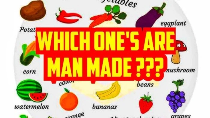 Man-Made Vegetables: A Look at Hybrid and Genetically Modified Crops