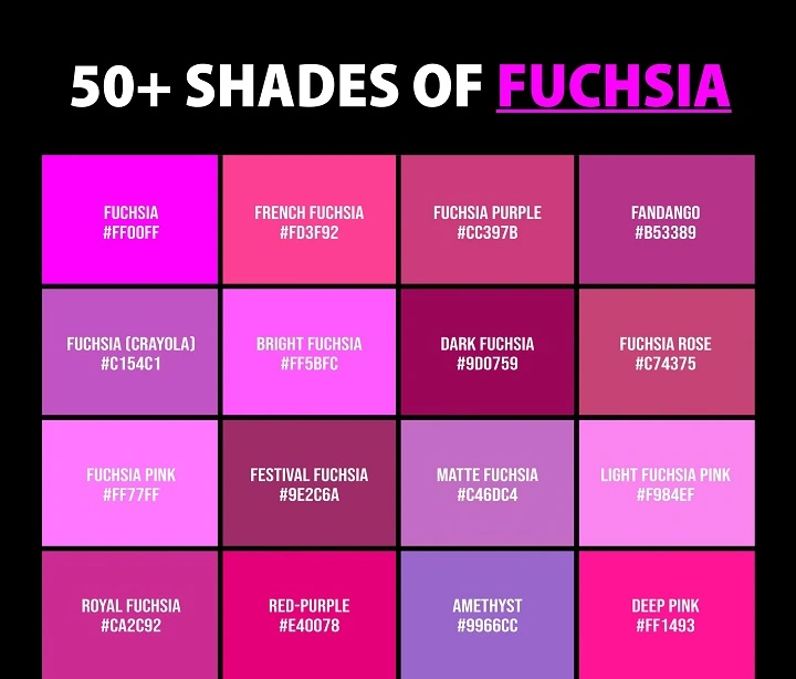 Fuchsia Color: That Bright Shade That Makes You Look